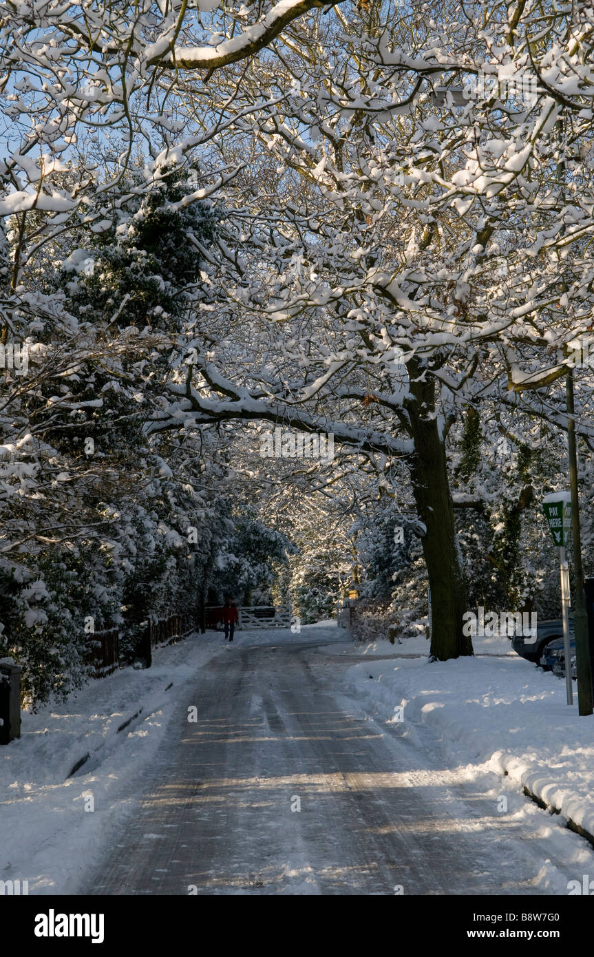 Wintery road with snow-filled trees Stock Photo - Alamy