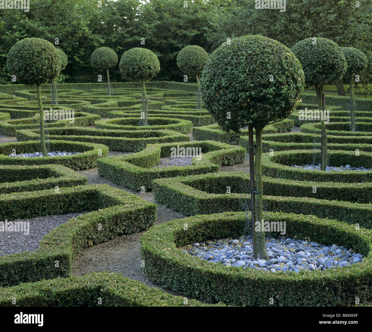 The Knot Garden with low box hedges outlining the pattern and box ...