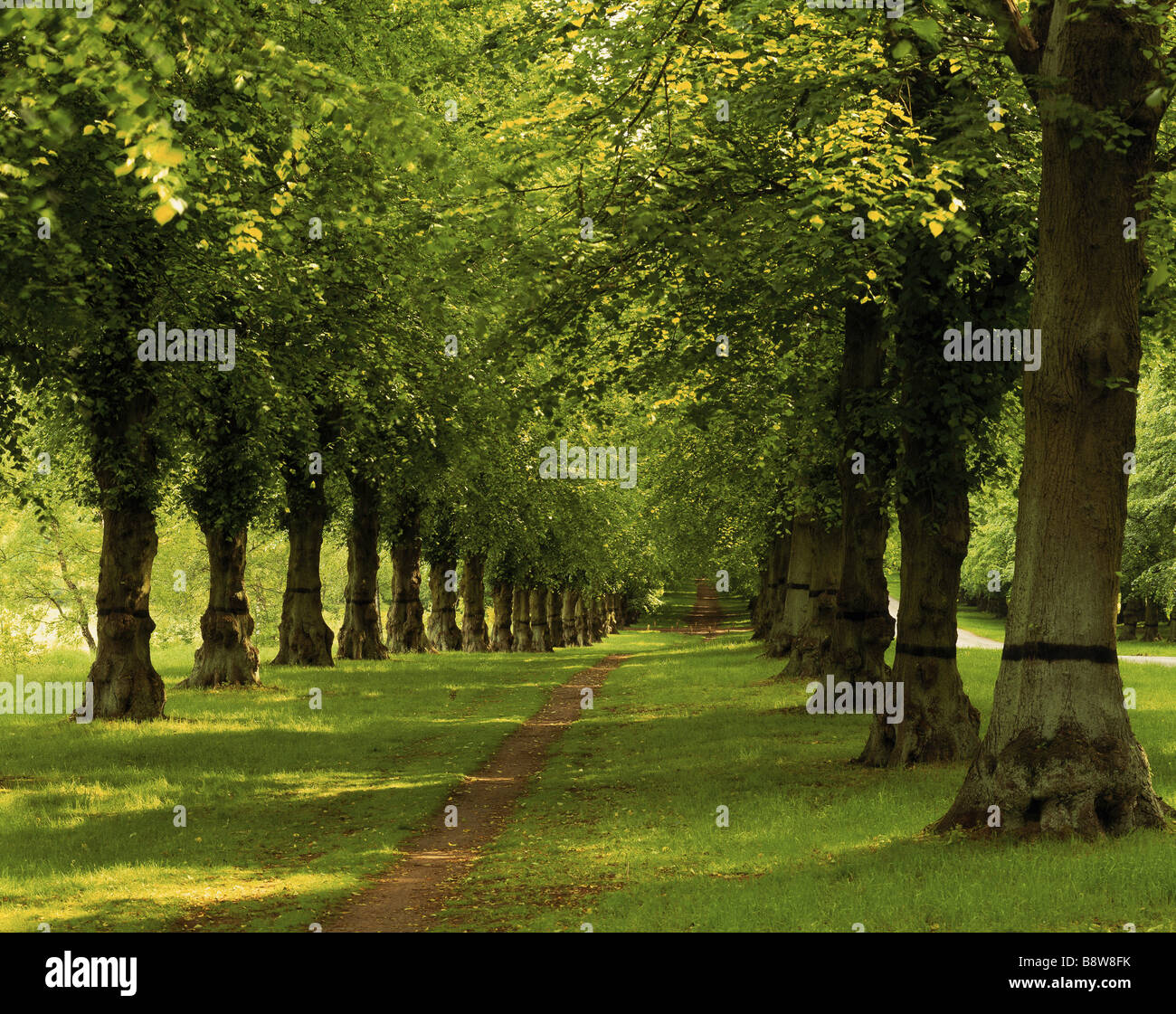 Glorious mystery hi-res stock photography and images - Alamy