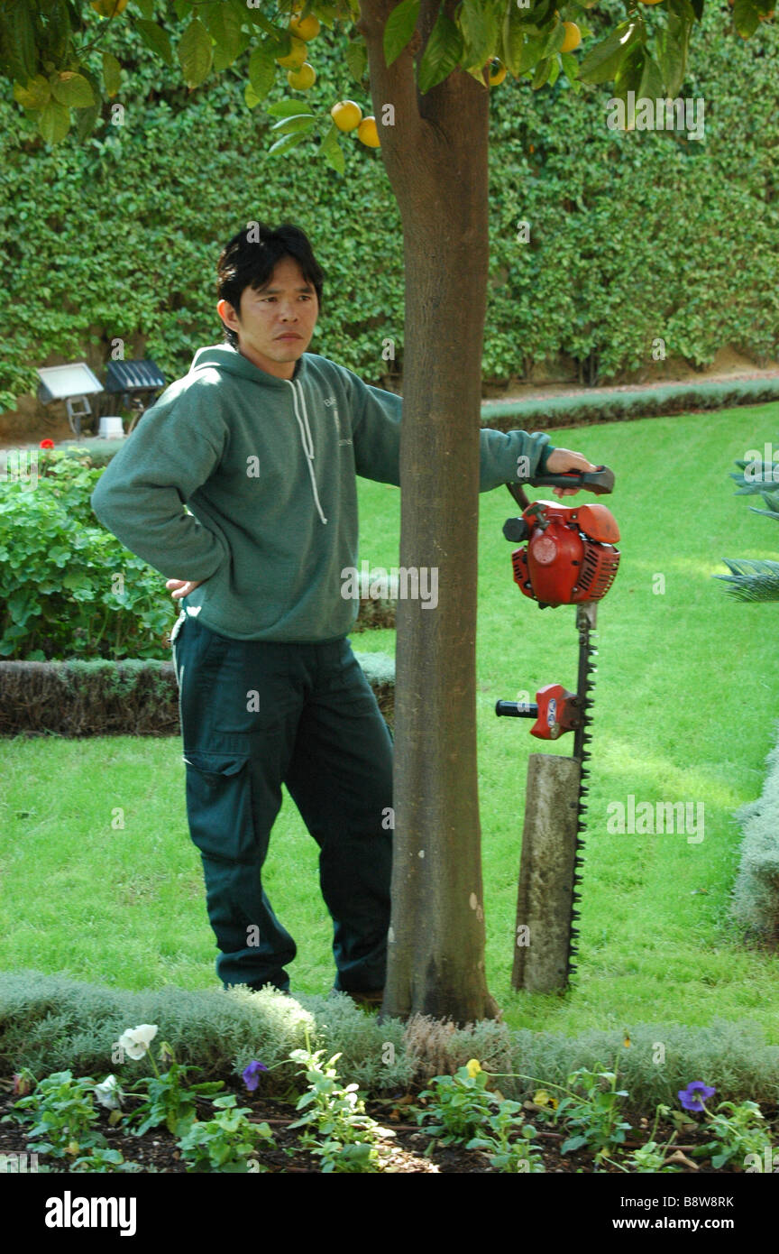 Gardener maintaining a garden Stock Photo - Alamy