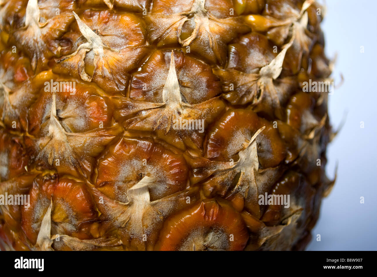 An old pineapple Stock Photo - Alamy