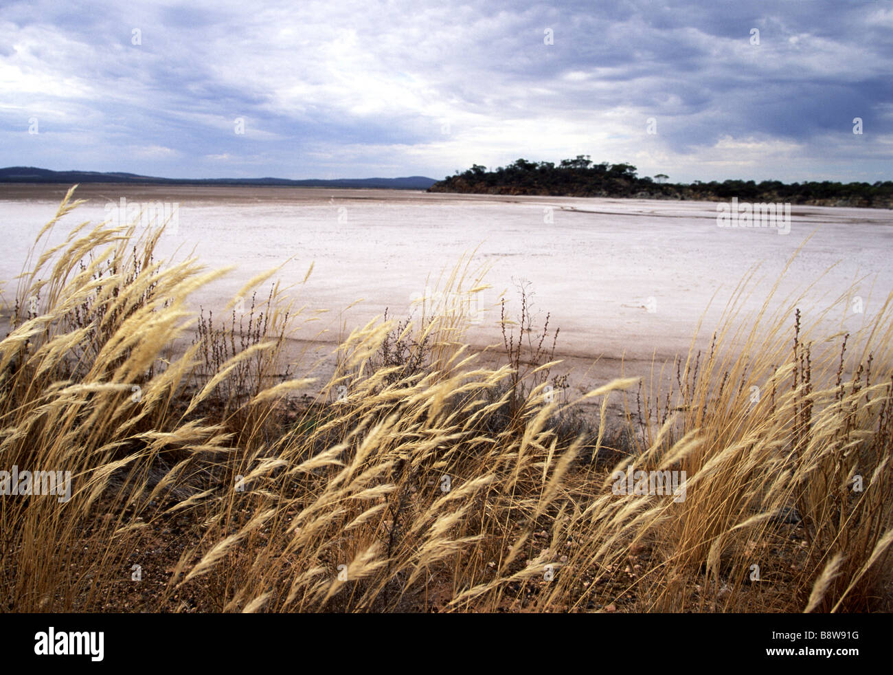 Cowan australia hi-res stock photography and images - Alamy
