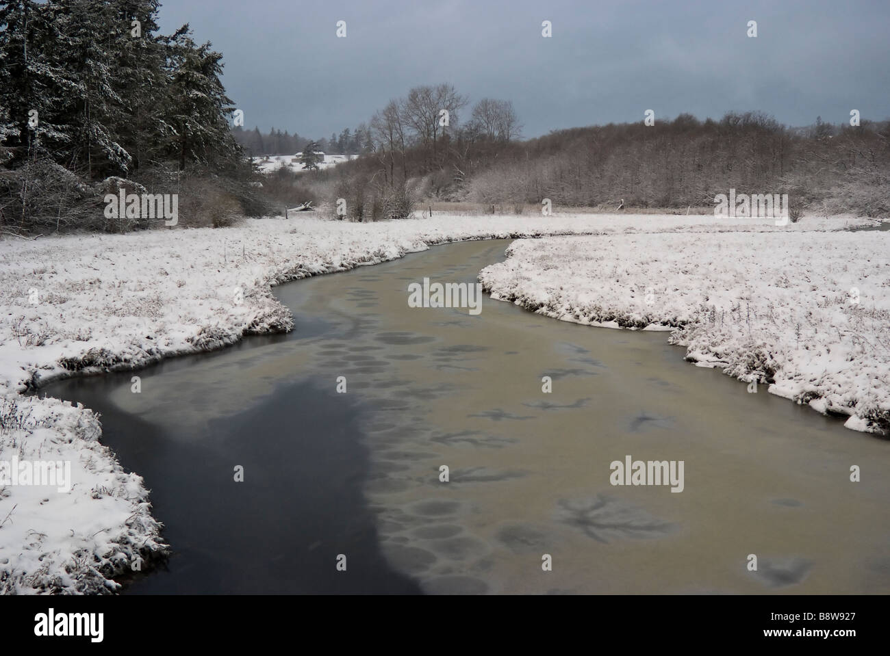 Frozen snowy slough on Lummi Island, a small island in the Puget Sound ...