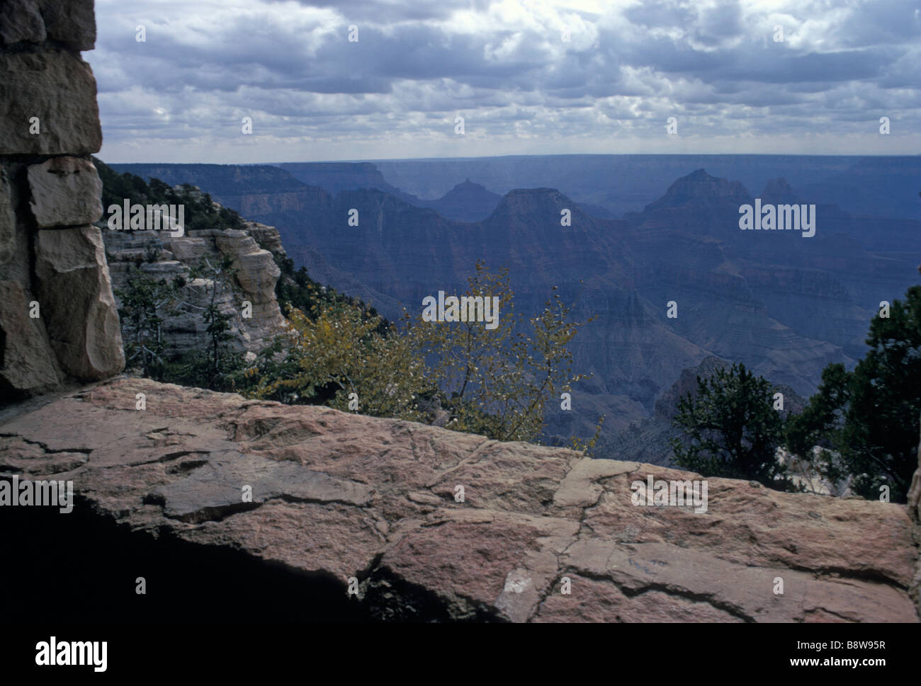 view of the North Rim of the Grand Canyon Stock Photo - Alamy