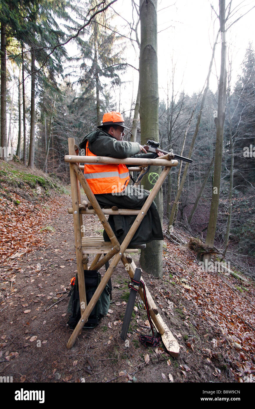 hunter with gun on raised hide, Germany Stock Photo - Alamy