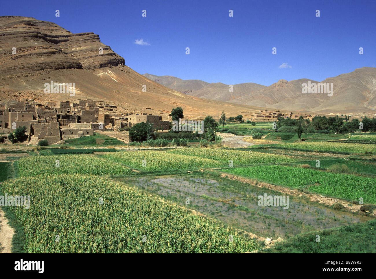 Farming in Morocco Stock Photo - Alamy