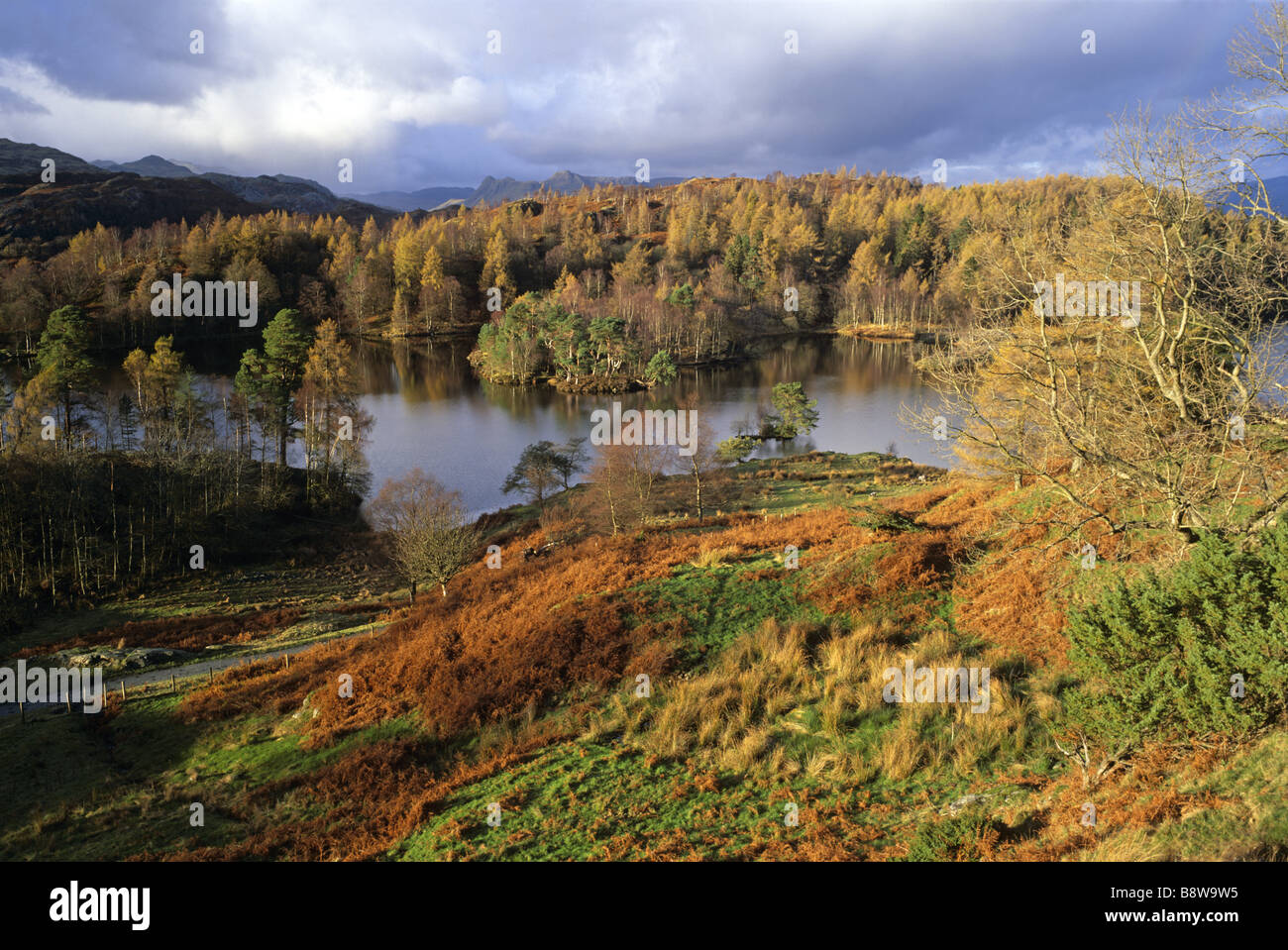 Tarn Hows part of the Monk Coniston estate Stock Photo - Alamy