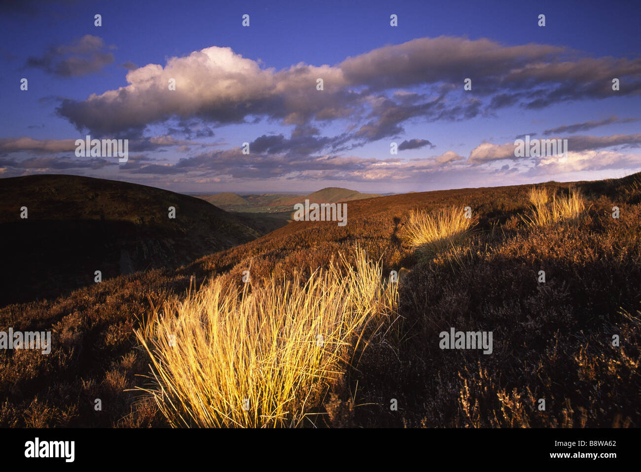 Cardingmill valley hi-res stock photography and images - Alamy
