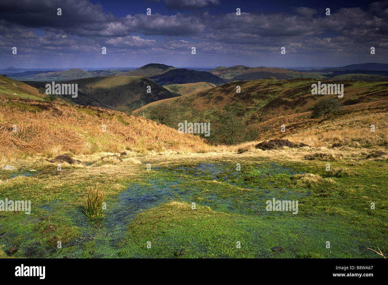 Carding mill valley near church hi-res stock photography and images - Alamy