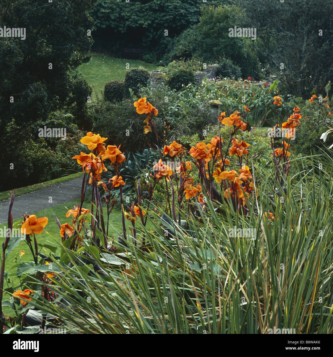 Coleton fishacre plant hi-res stock photography and images - Alamy