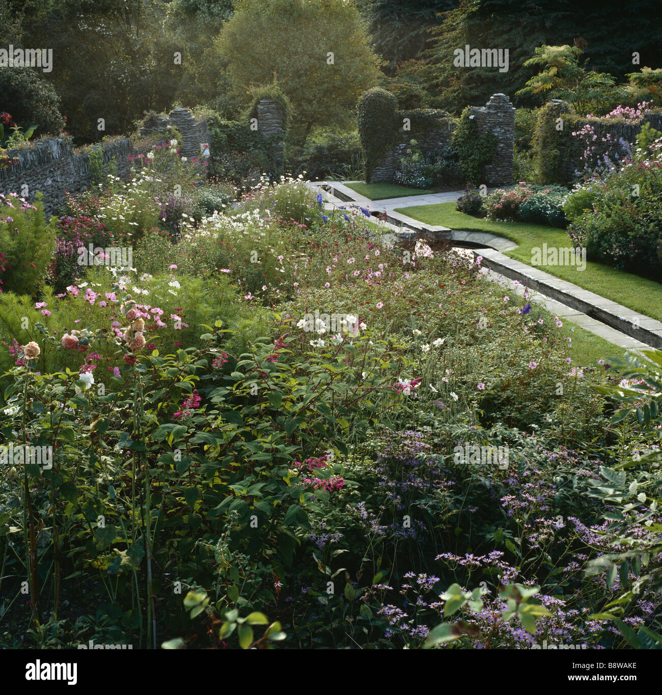 Coleton fishacre plant hi-res stock photography and images - Alamy