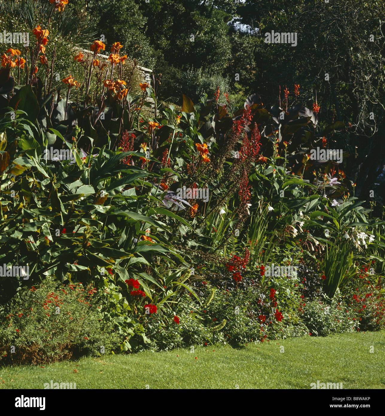 Coleton fishacre plant hi-res stock photography and images - Alamy