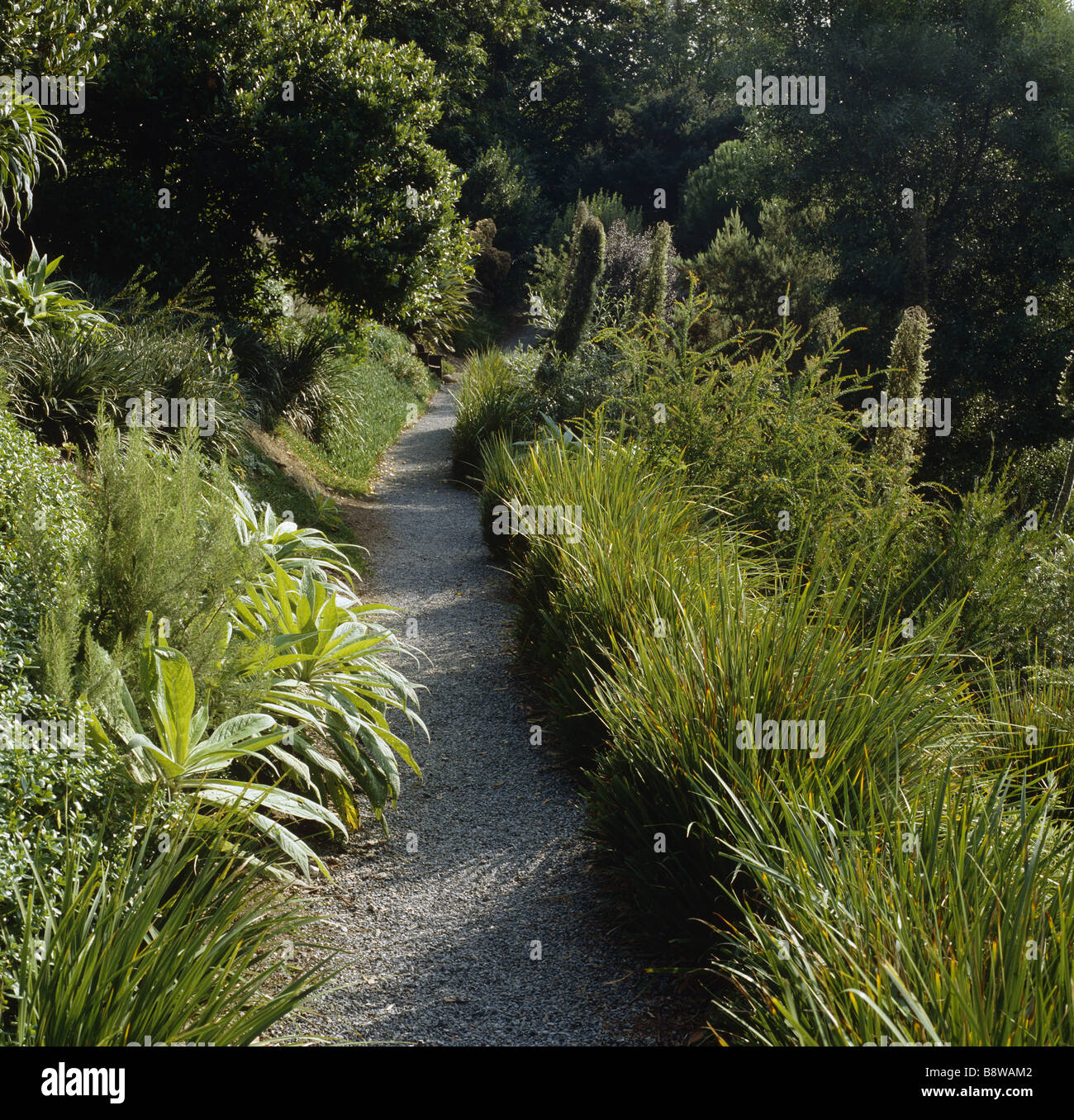 Coleton fishacre plant hi-res stock photography and images - Alamy