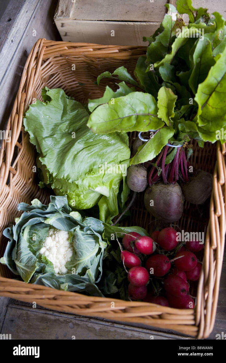 Fresh produce from the Farm Shop at Chirk Castle Wrexham Wales Stock ...