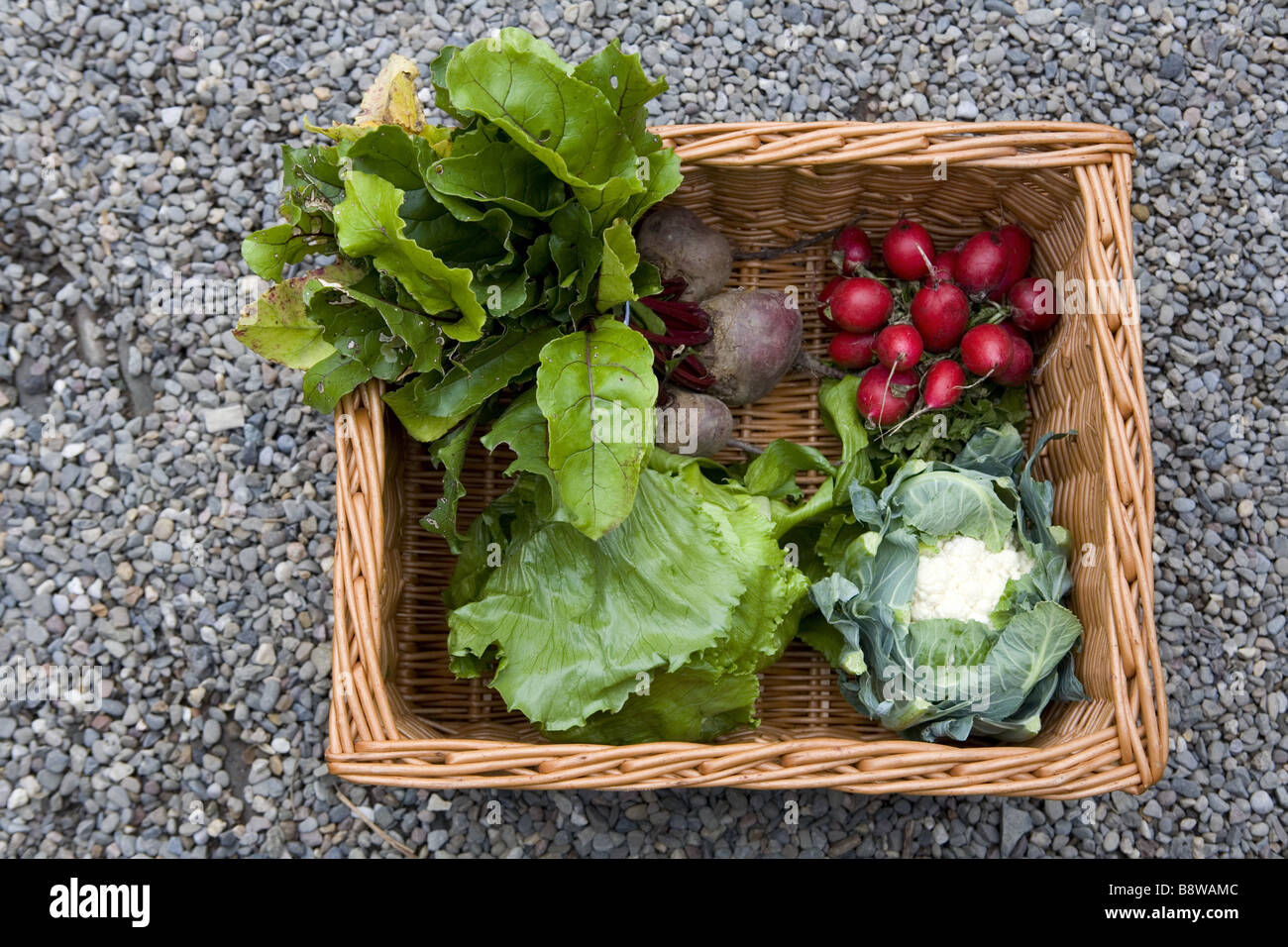 Vegetable produce at the castle hi-res stock photography and images - Alamy