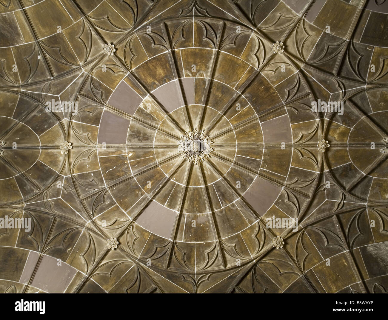Part of the early sixteenth century twelve fan vaulted ceiling in the ...