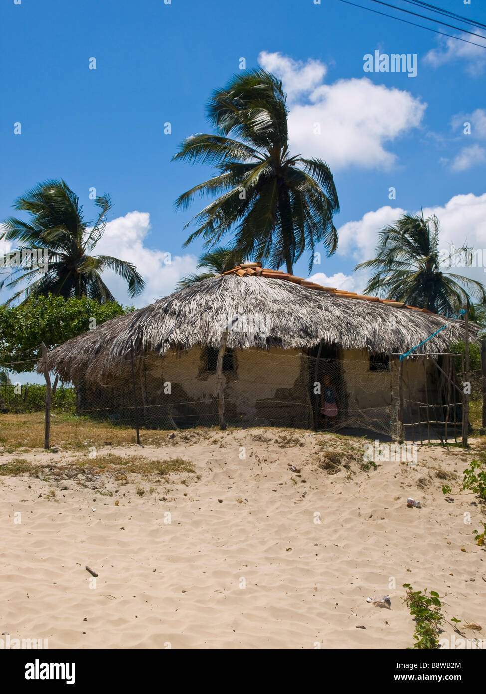 Tropical straw roof hut hi-res stock photography and images - Alamy