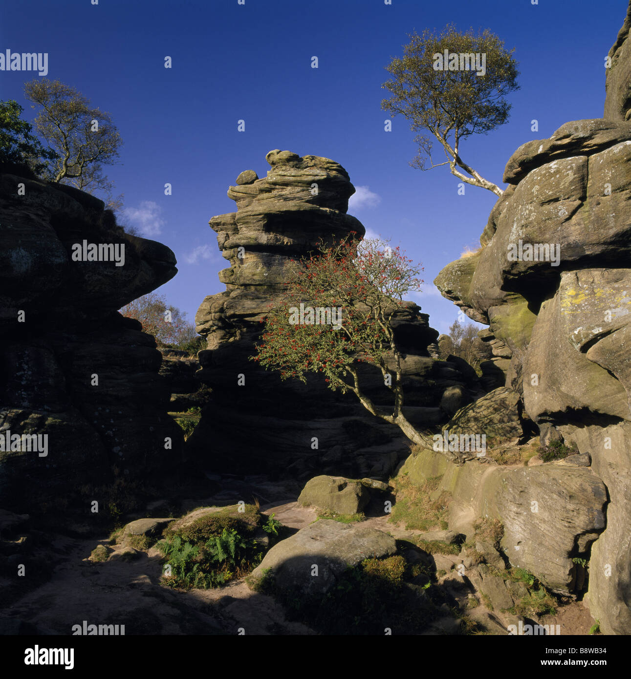A view of Turtle Rock from Castle Rocks at Brimham Rocks in North ...