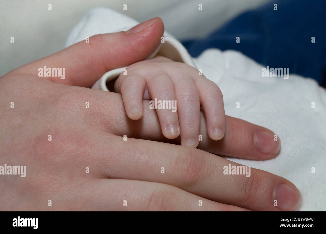 Baby hand holding on to her mothers hand Stock Photo - Alamy