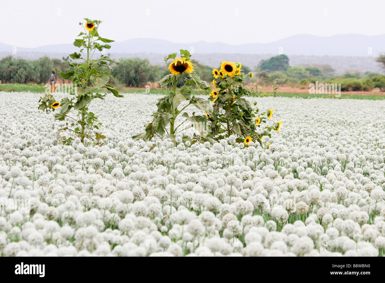 Rural farming people hi-res stock photography and images - Alamy