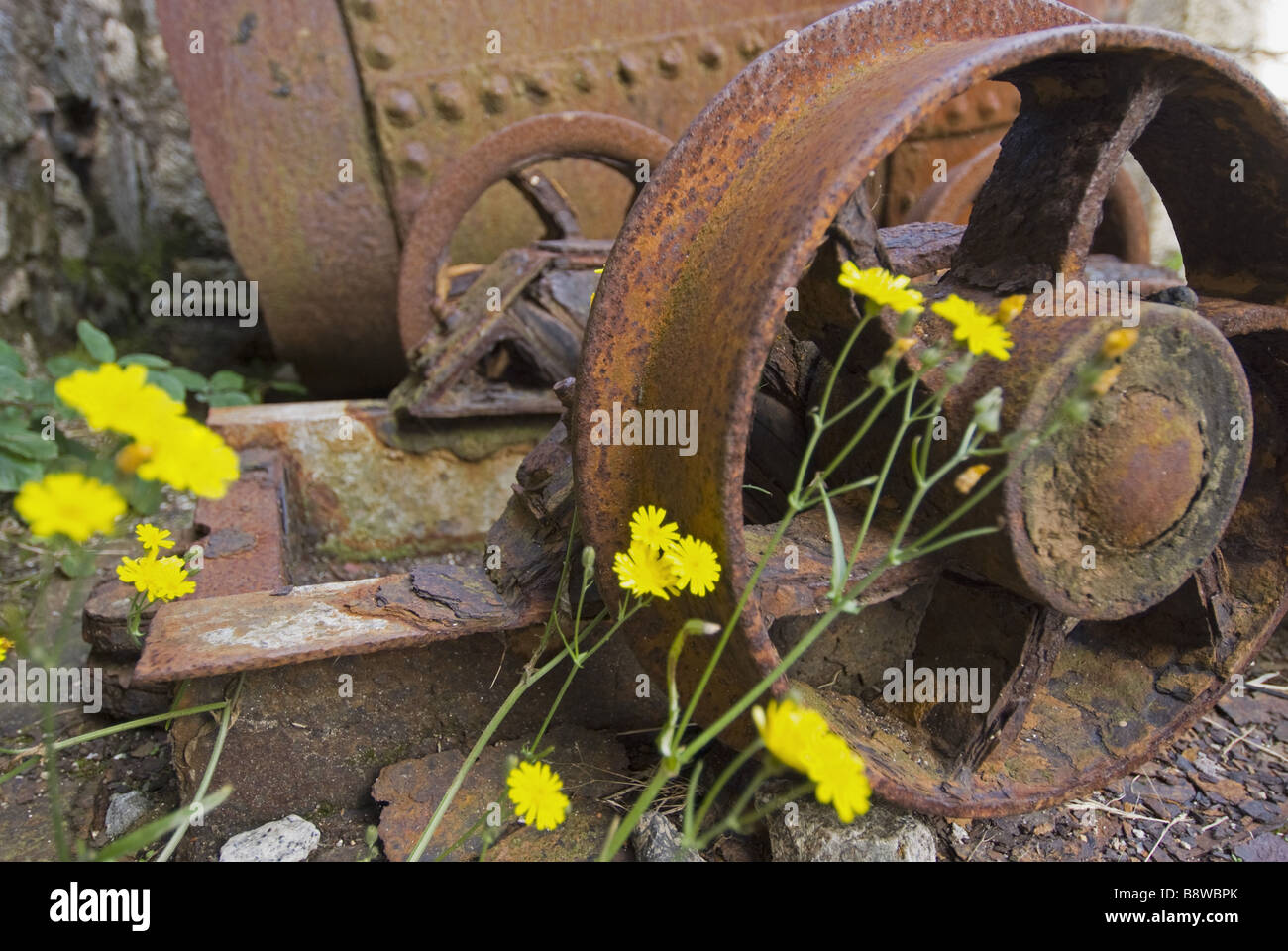Close view of old and rusting metal machinery at Cornish Mines Engines ...