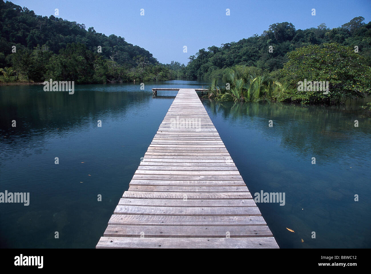 Lagoon enclosed with slopes of mangrove trees and thick forests at Ko ...