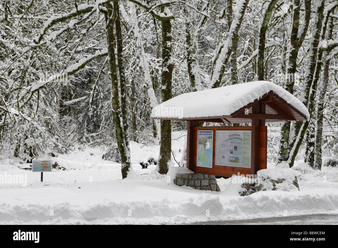 In temperate rainforest hi-res stock photography and images - Alamy