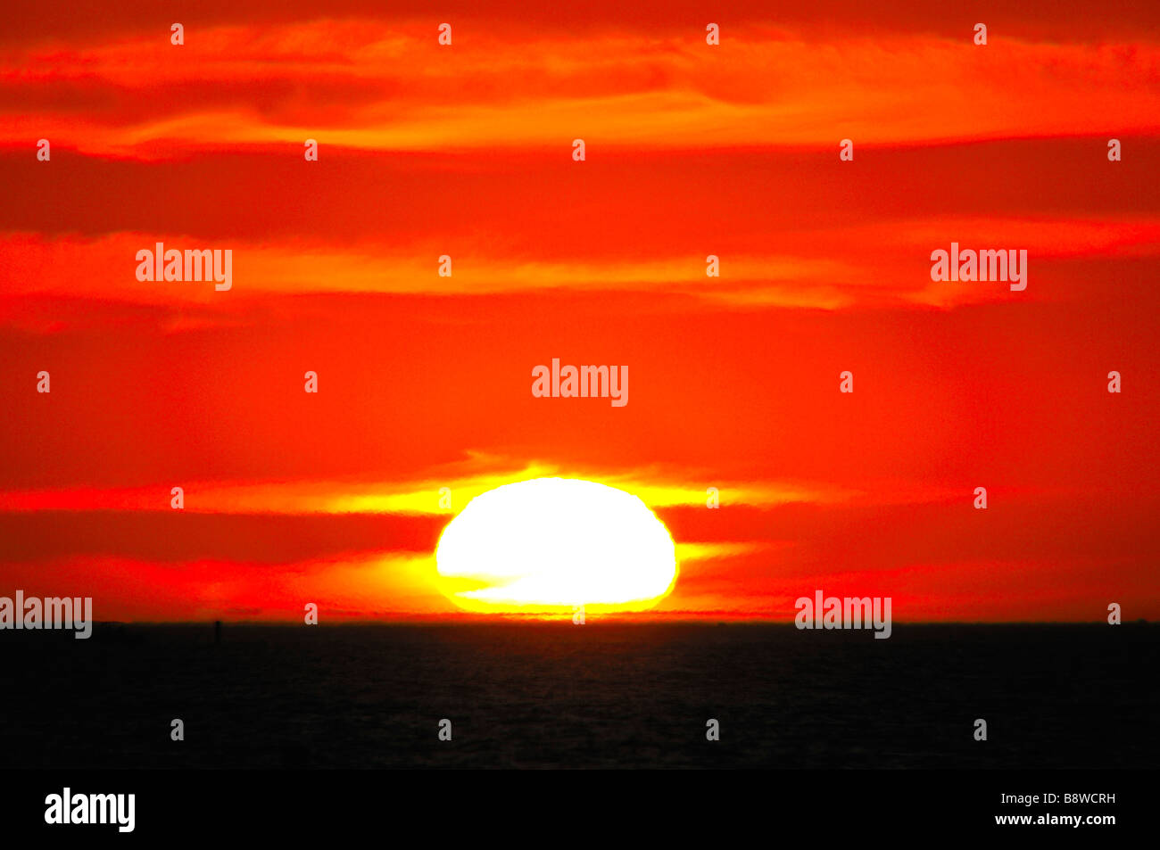 Florida gulf coast sunset hi-res stock photography and images - Alamy