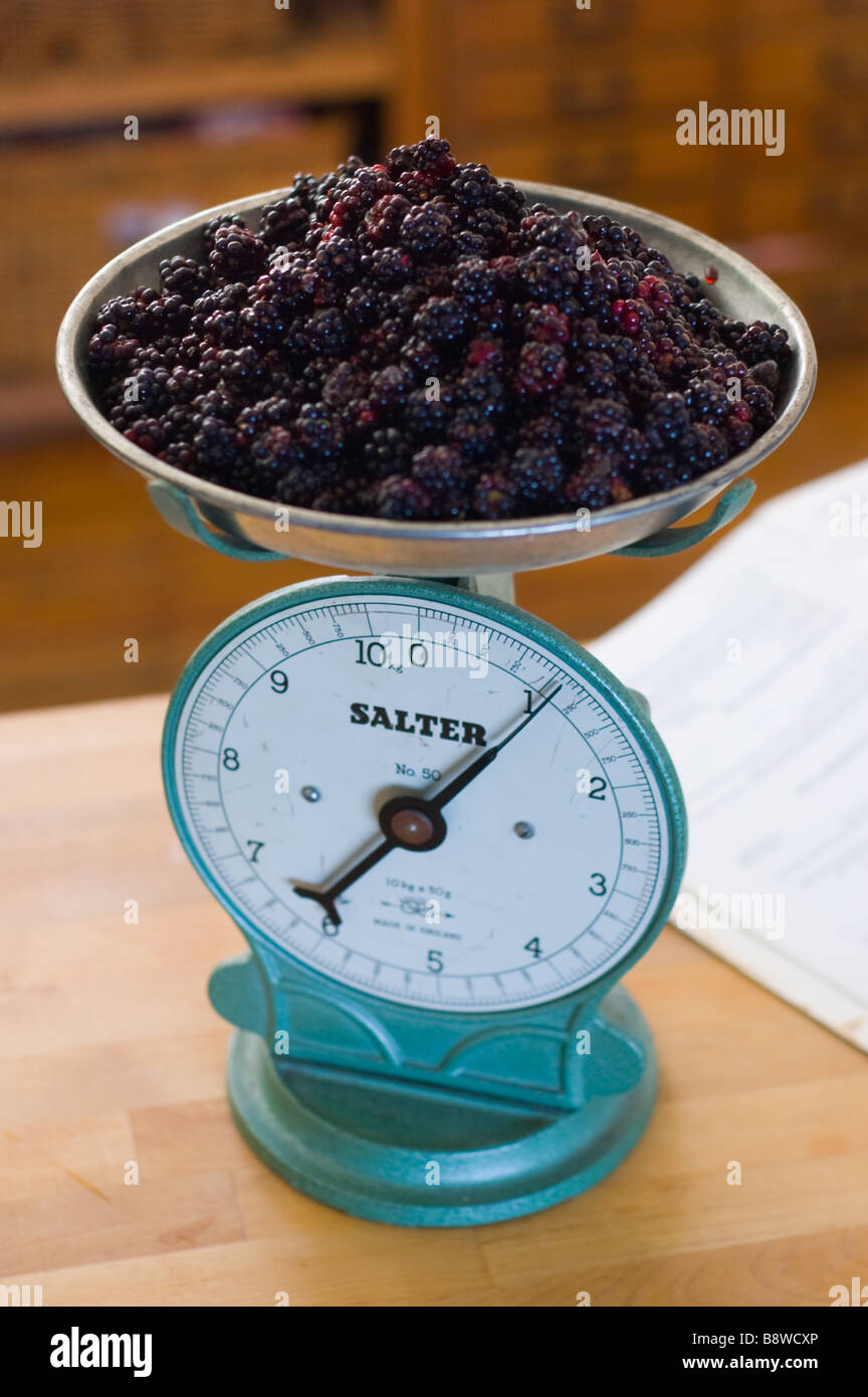 photograph of blackberries on scale Stock Photo - Alamy