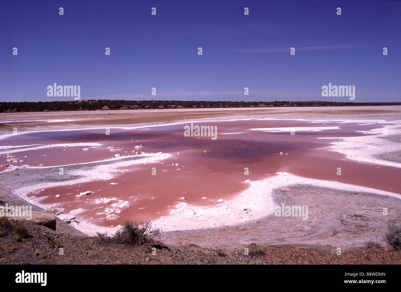 Salt Lake Australia Stock Photo - Alamy
