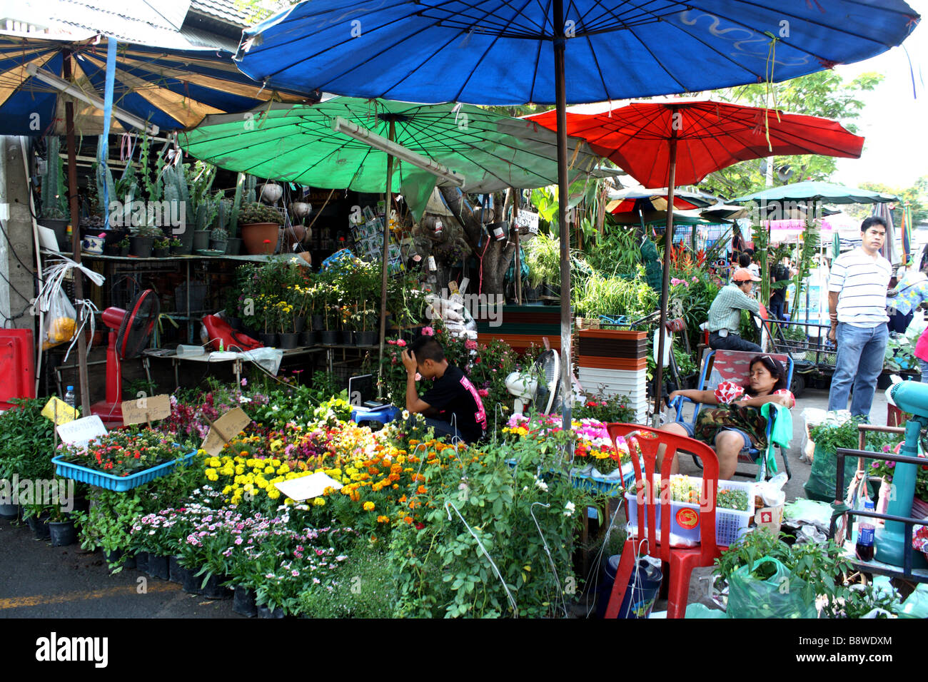 Chatuchak Weekend Market , Bangkok , Thailand Stock Photo - Alamy
