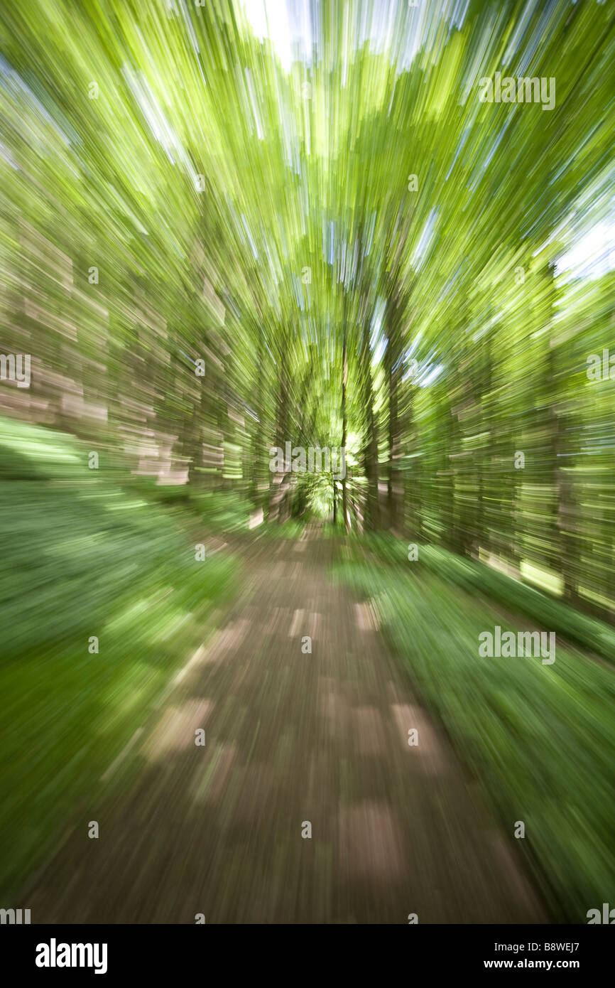 Speed blurred image along dirt track with green trees and grass plus a ...