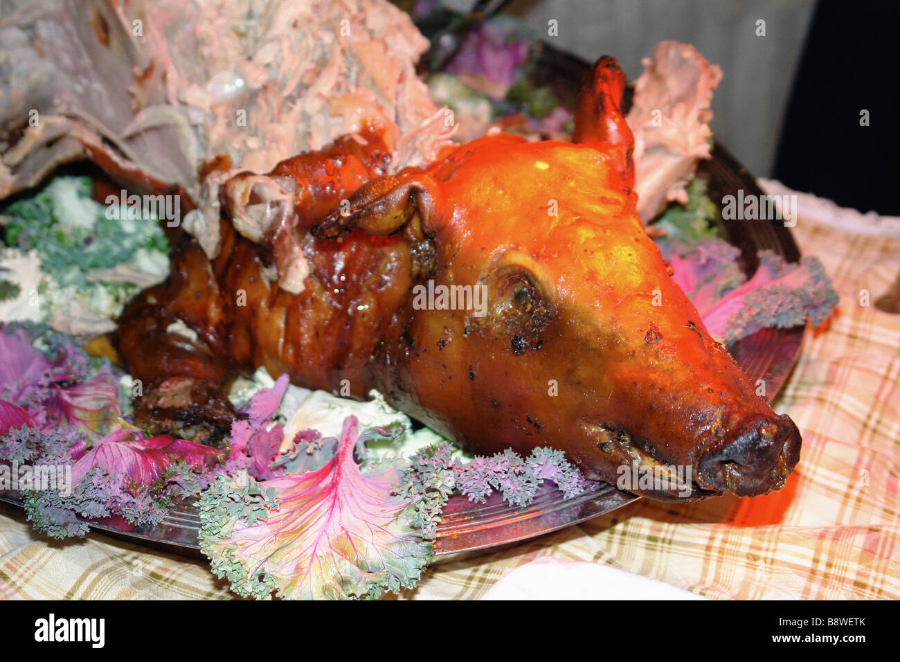 Still Life of a Roasted Pigs Head at a Party Copy Space Stock Photo - Alamy