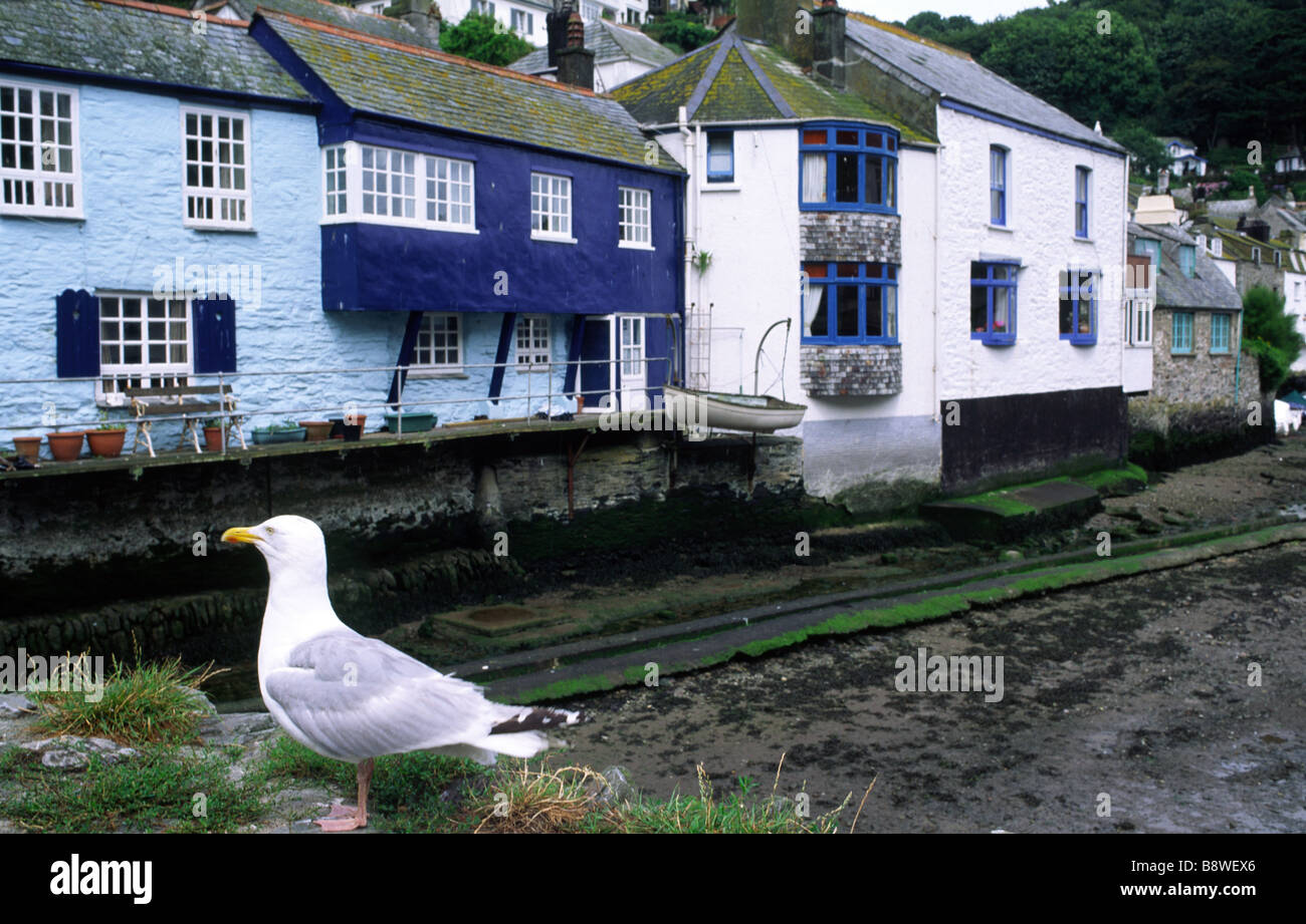 The pretty coastal village and harbour of Polperro in Cornwall Stock ...