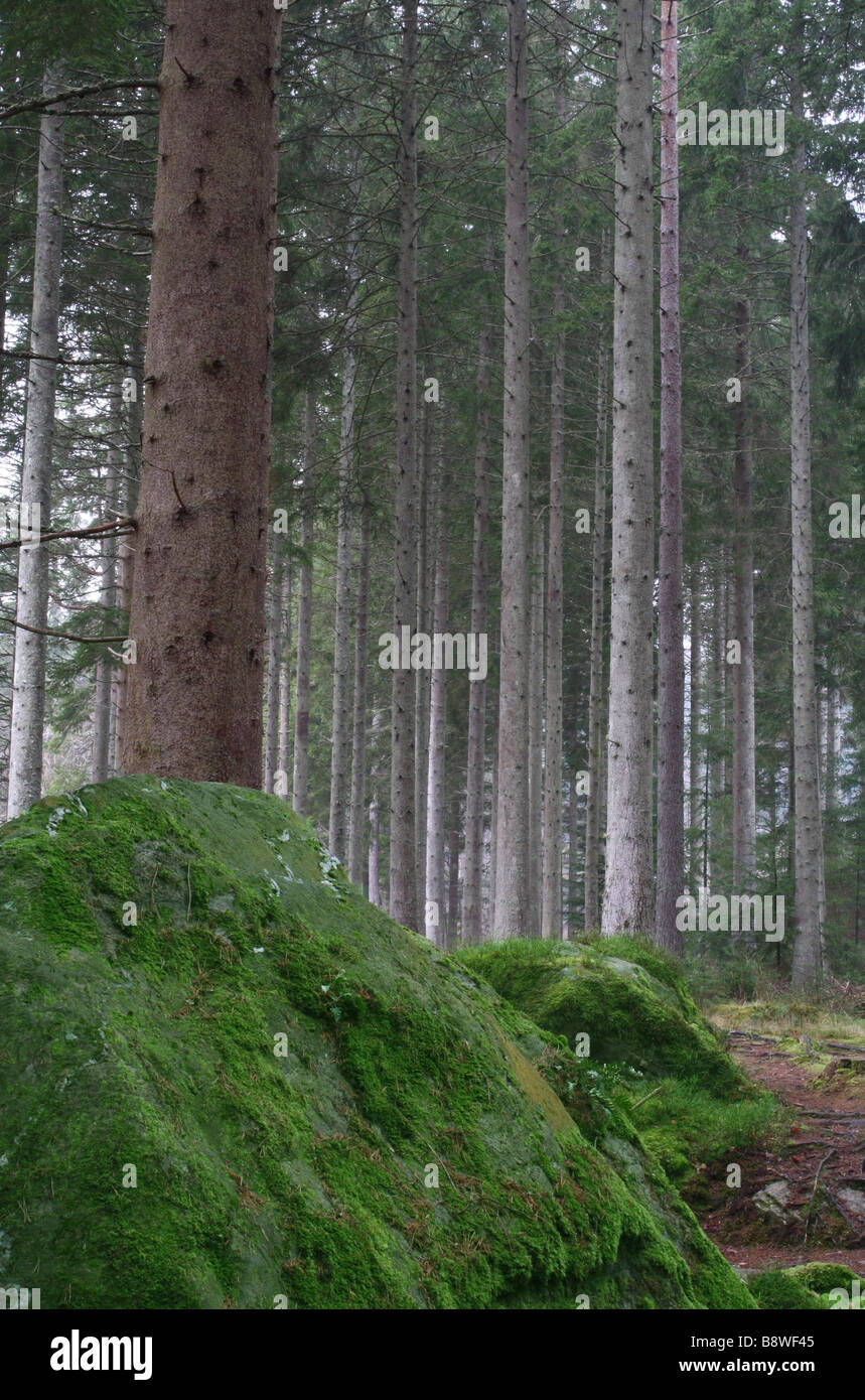 Round rocks hi-res stock photography and images - Alamy