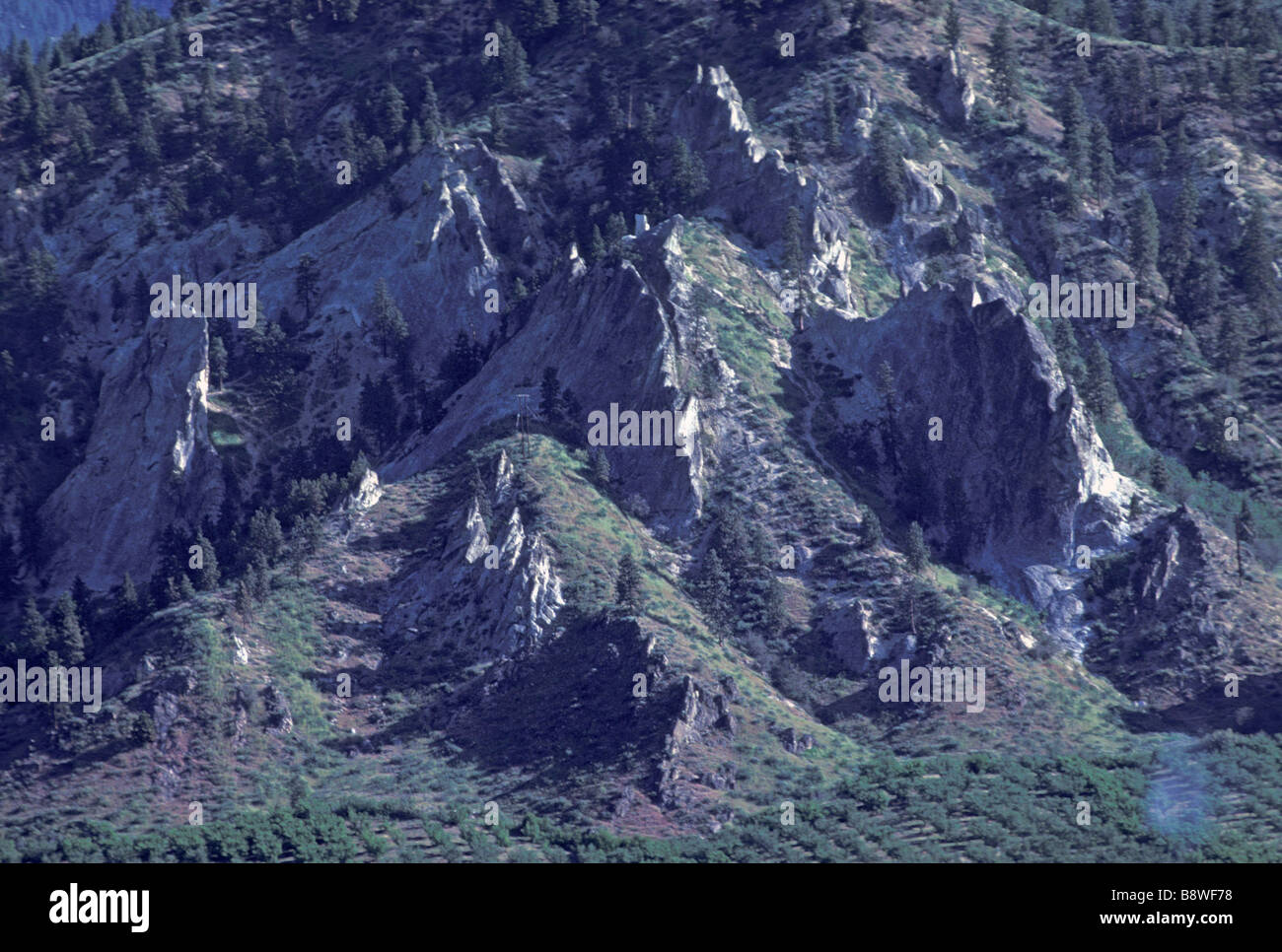 orchard at base of mountain at Eastern Cascades Stock Photo - Alamy