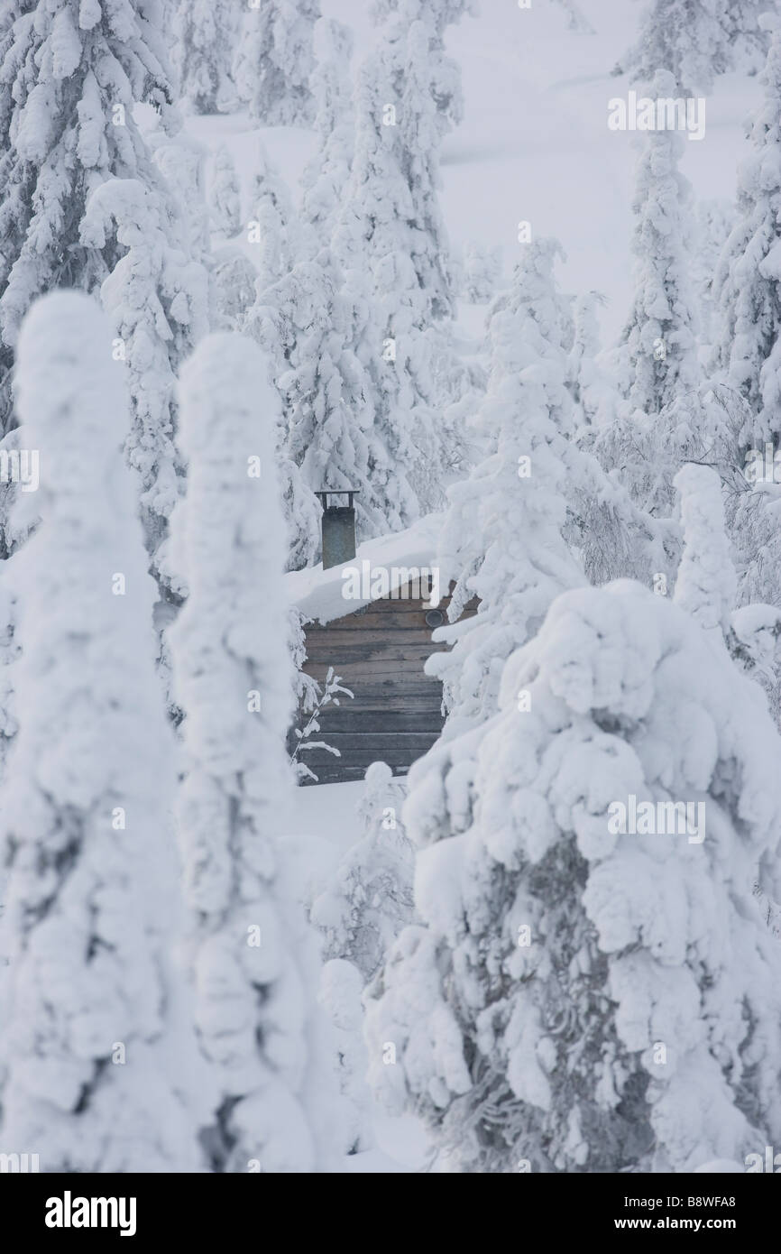 Taiga cabin hi-res stock photography and images - Alamy