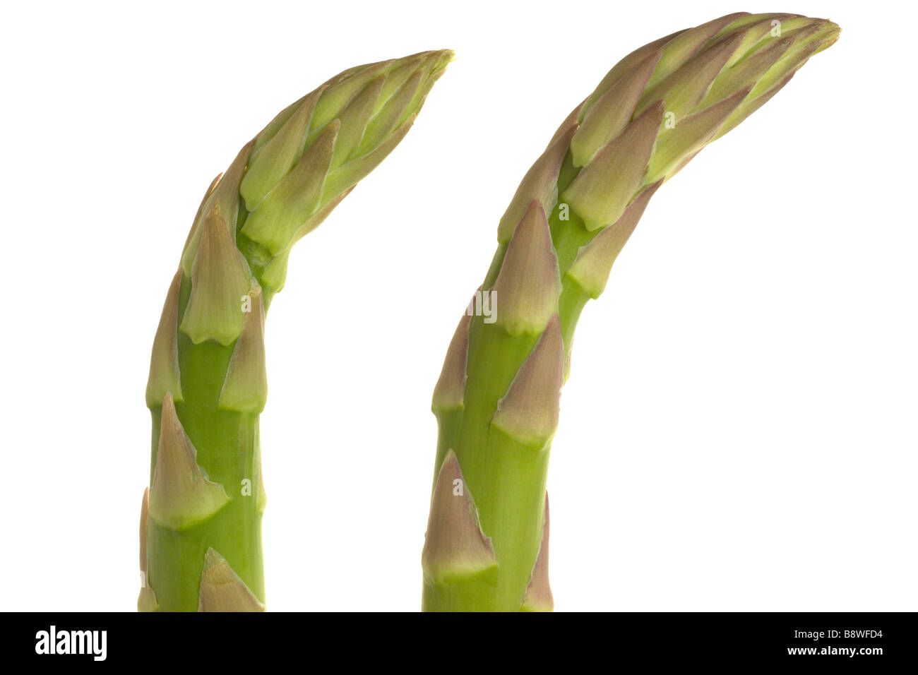 Phallic vegetable hi-res stock photography and images - Alamy