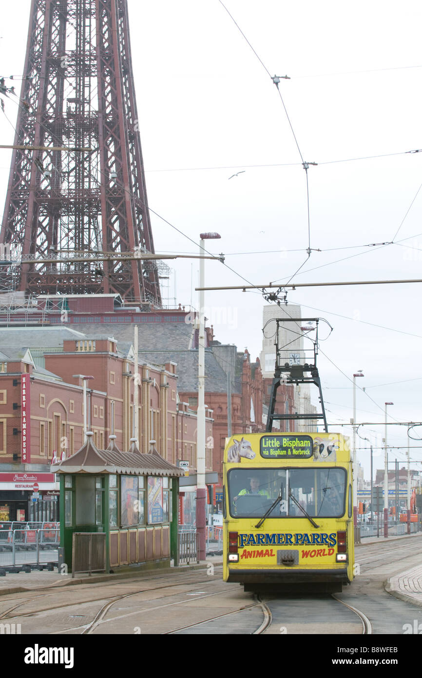 A tram heading for Bispham passes Blackpool Tower in Blackpool, England ...
