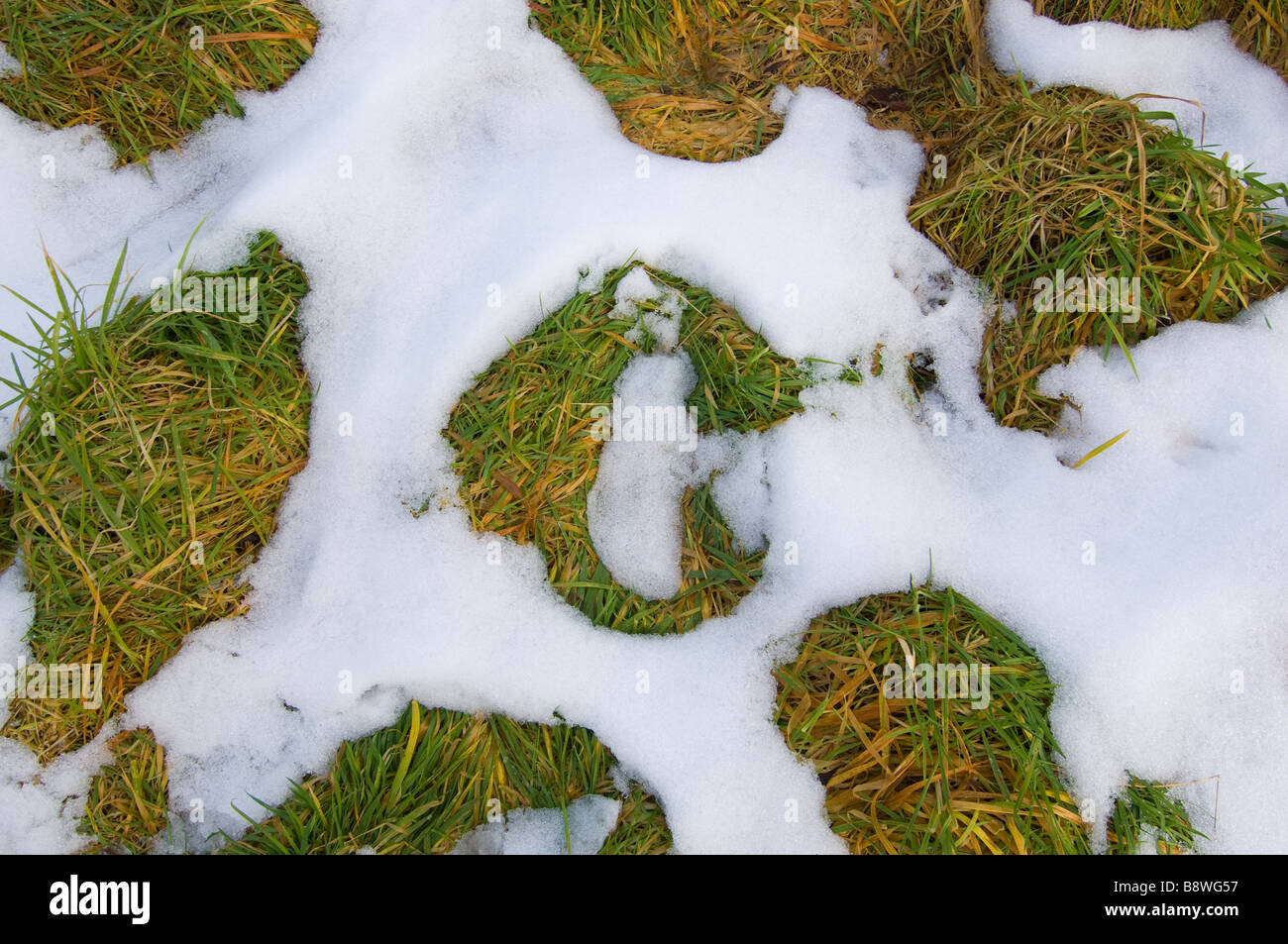 Clumps snow hi-res stock photography and images - Alamy