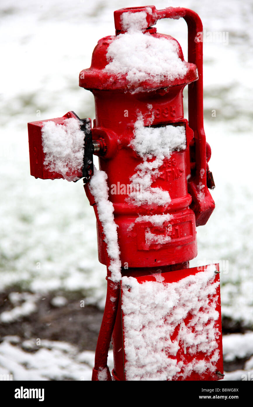 Fire hydrant in the snow Stock Photo - Alamy