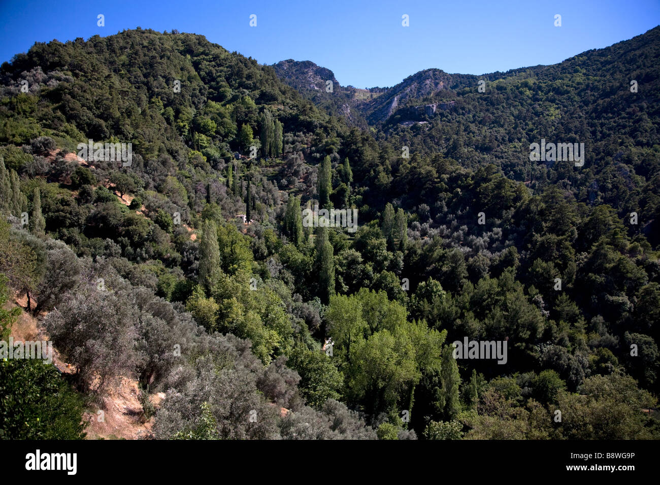 Samos landscape scenic hi-res stock photography and images - Alamy