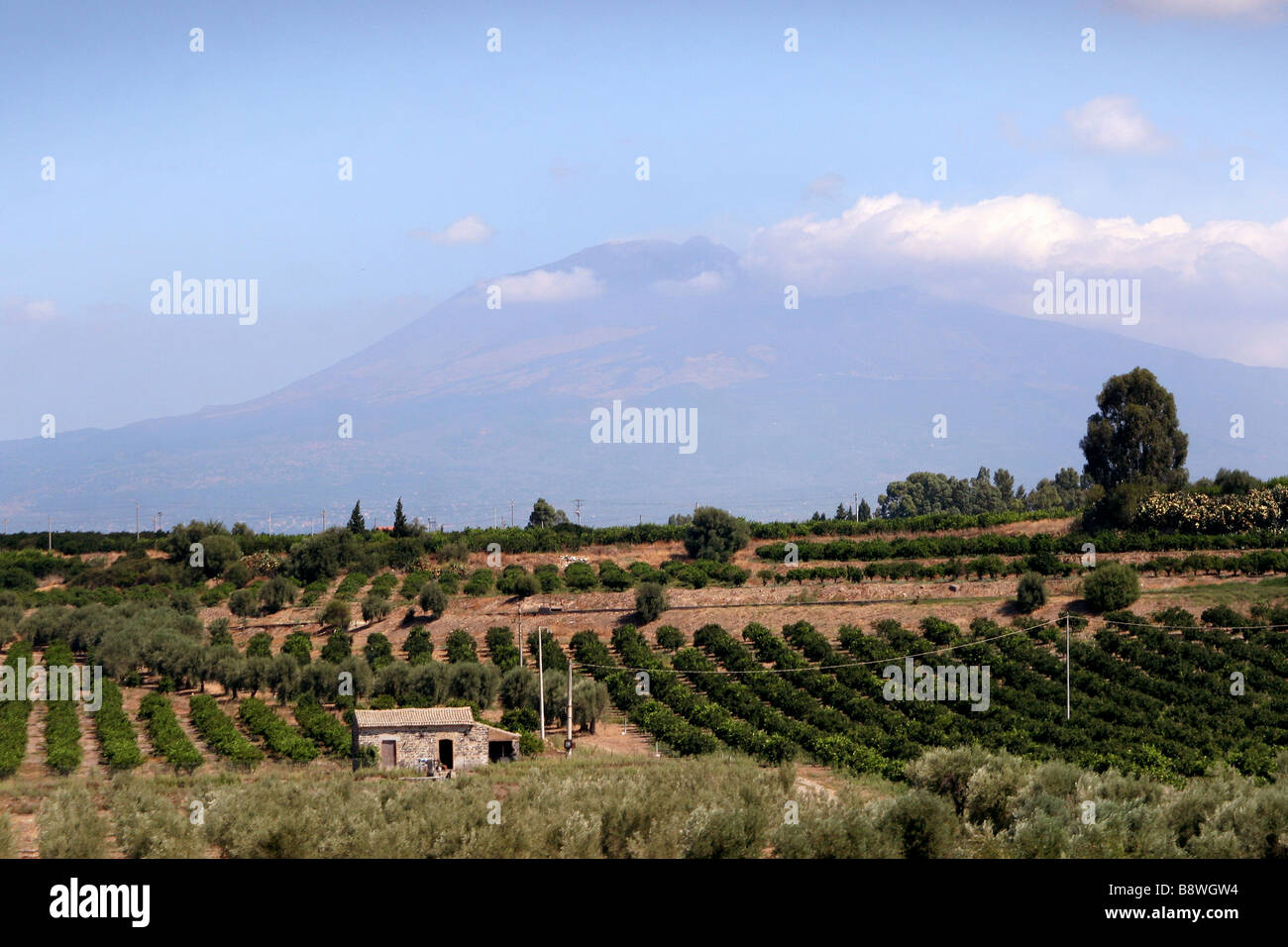 Sicilian landscape Mount Etna volcano Stock Photo - Alamy