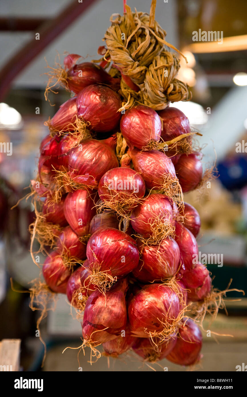 Florence onion hi-res stock photography and images - Alamy