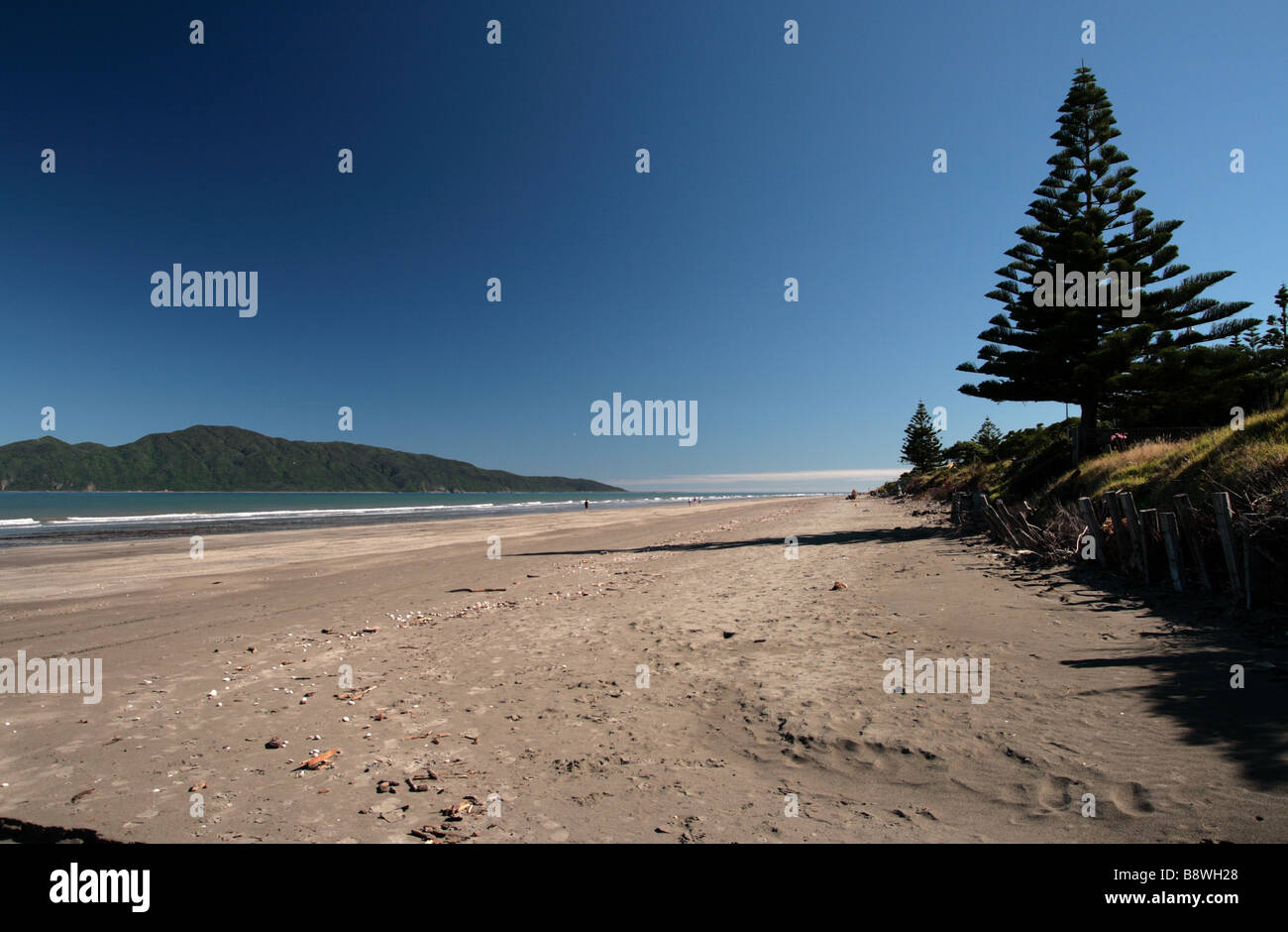 Raumati hi-res stock photography and images - Alamy