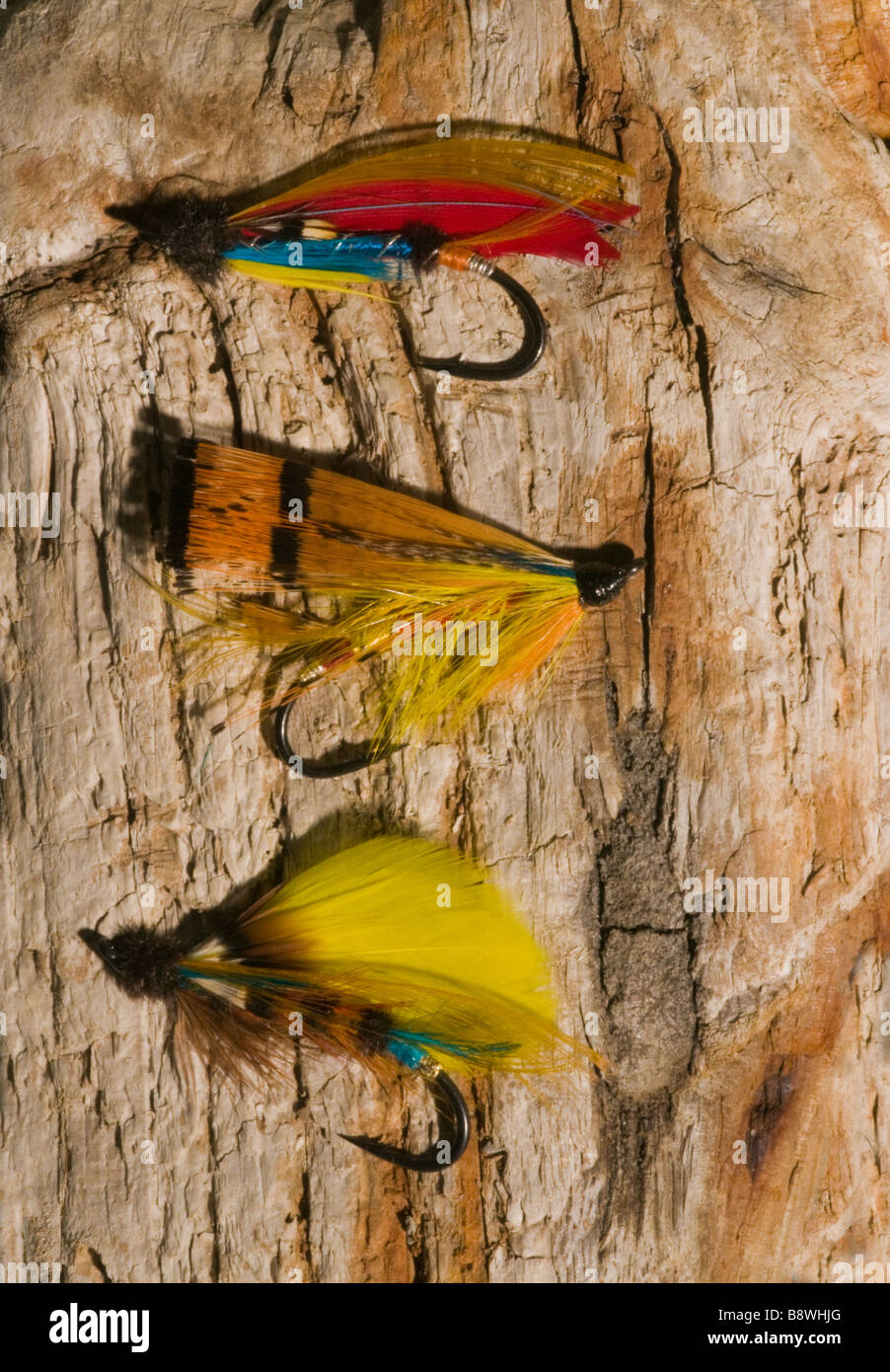 Salmon fishing flies Stock Photo - Alamy