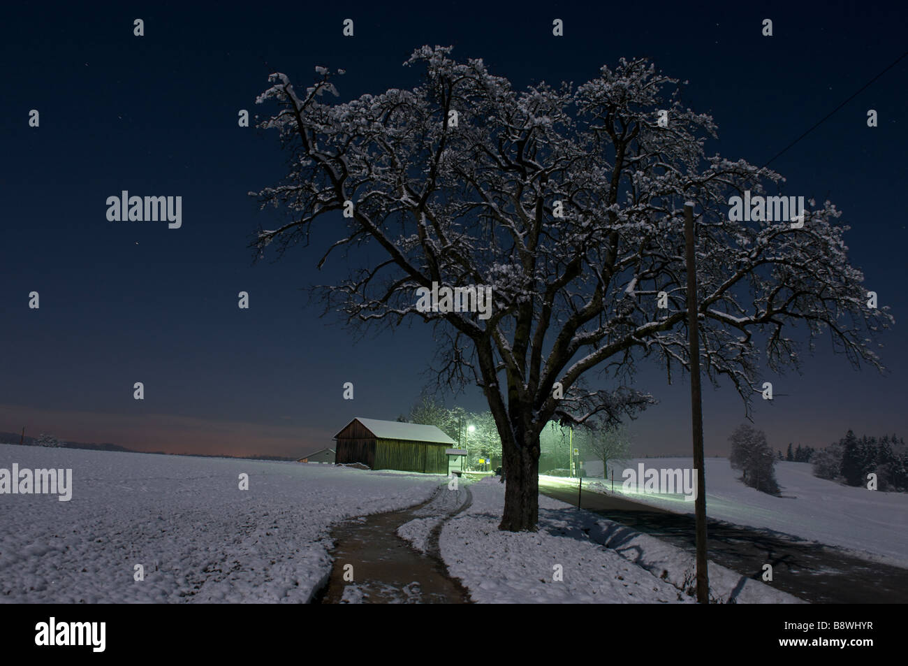 snow tree at full moon litt night Stock Photo - Alamy