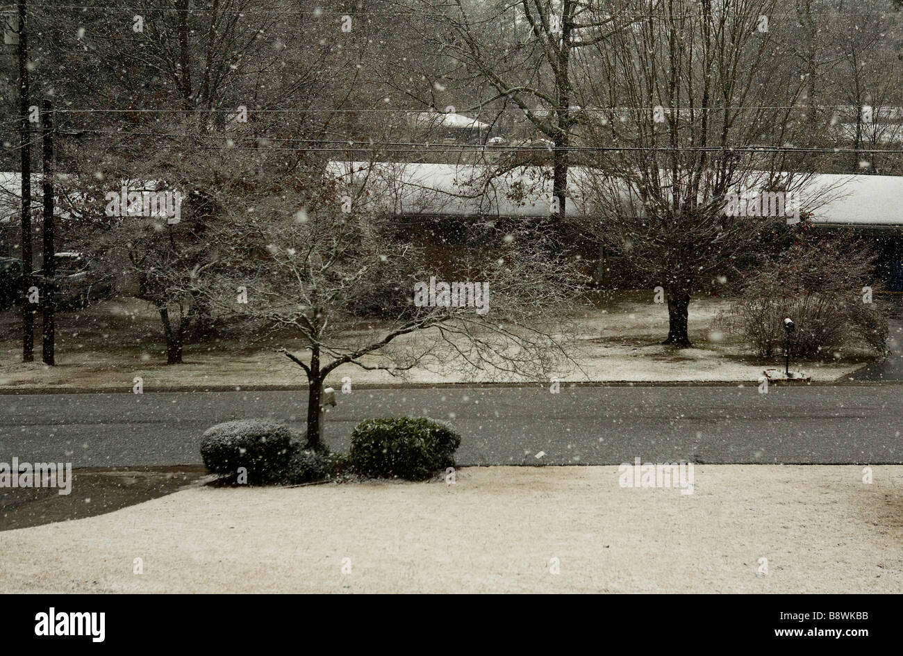 Snow fall on a wintery morning Stock Photo - Alamy