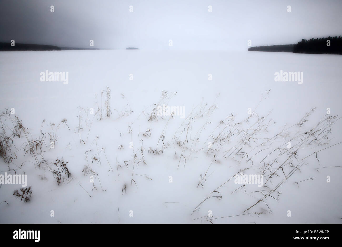 Winter mountain snowy forest lanscape hi-res stock photography and ...