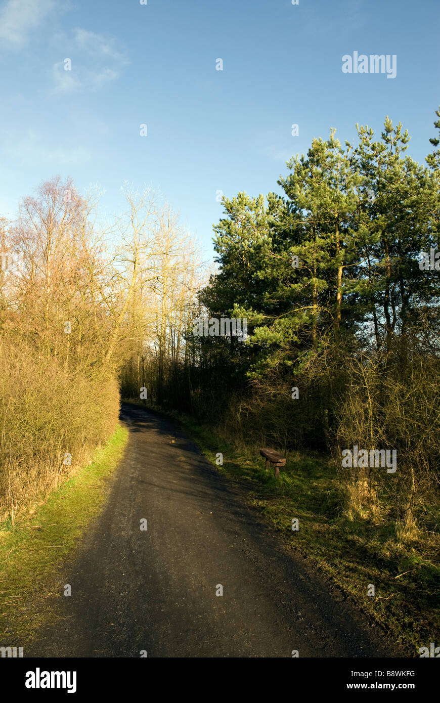 Lochore meadows hi-res stock photography and images - Alamy